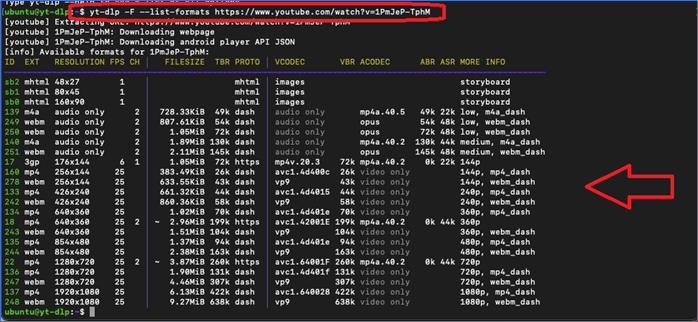YT-DLP 使用入門指南 - EaseUS